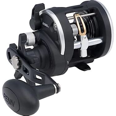 Saltwater Conventional Reels Saltwater Reels Penn Saltwater Reels