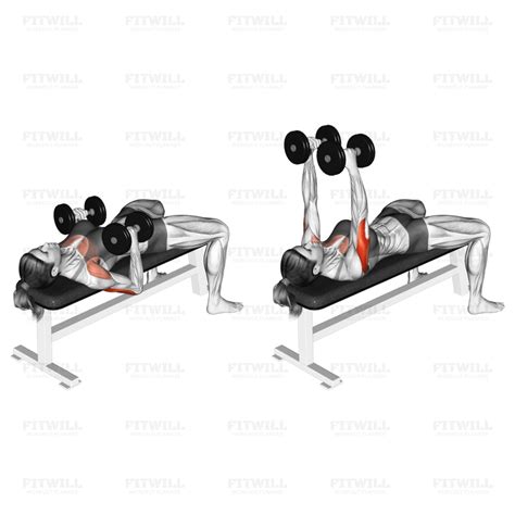 Dumbbell Close Grip Press Exercise Guide Video Techniques Benefits