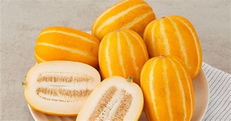 여름 과일이 벌써롯데마트 올해 첫 참외·수박 판매