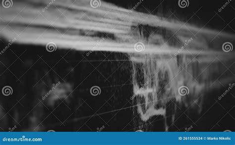 Graph Lumetri Scopes Waveform Shot Of A Computer Screen Stock Footage