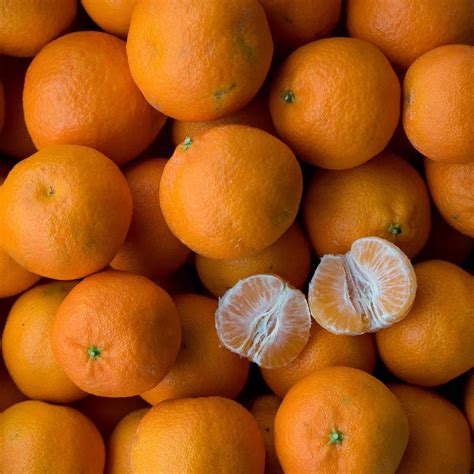 Clementine Fortuna Delivered Fresh Buy At Jurassic Fruit
