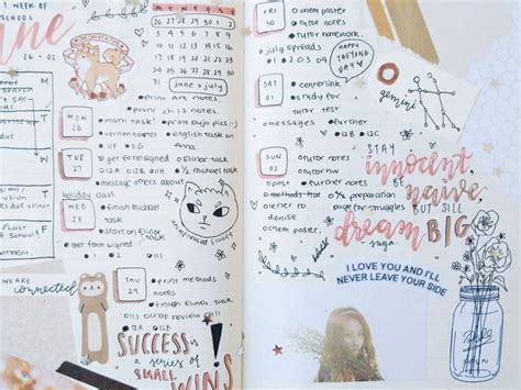 Pin Di B Su Bujos