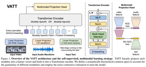 논문 리뷰 Vatt Transformers For Multimodal Self Supervised Learning From Raw Video Audio And Text