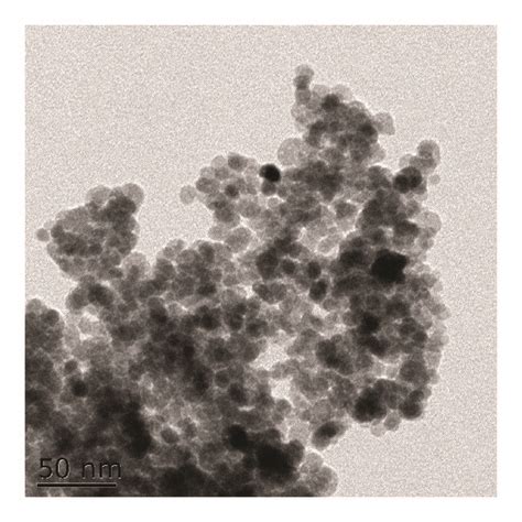 TEM Micrographs Of Naked Fe O Before A And After B Coating With CTS Download Scientific