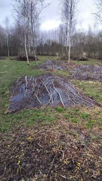 дрова чи залишити так Youtube