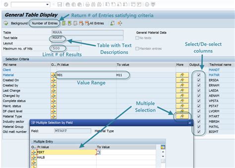 Sap Se16n Table Display Use It Like A Pro Michael Romaniello