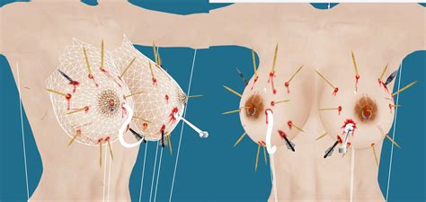 Nifskope Question Oblivion General Discussion Loverslab