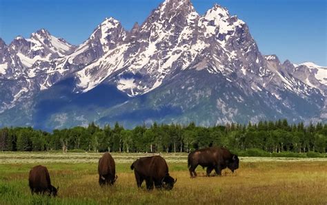 Do The 42 Mile Scenic Loop Drive In Grand Teton Map Guide Photos
