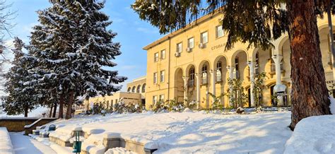 Стопанска академия „Димитър А Ценов“