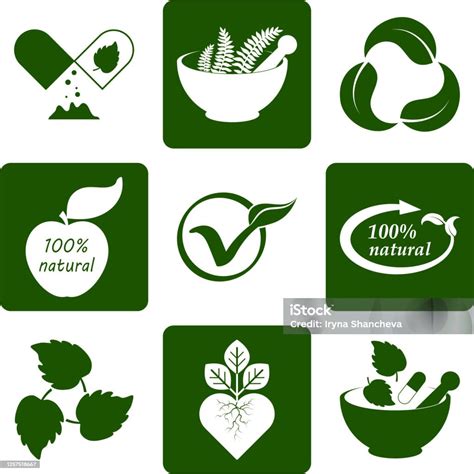 한방 의학 세트 아이콘 스텐실 에코 기호 벡터 스톡 일러스트레이션입니다 Eps 10 0명에 대한 스톡 벡터 아트 및 기타 이미지 0명 건강관리와 의술 검사 보기