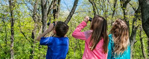 Summer Nature Camps Canadian Museum Of Nature