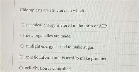 Solved Chloroplasts Are Structures In Whichchemical Energy