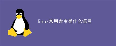 Linux常用命令是什么语言 美云