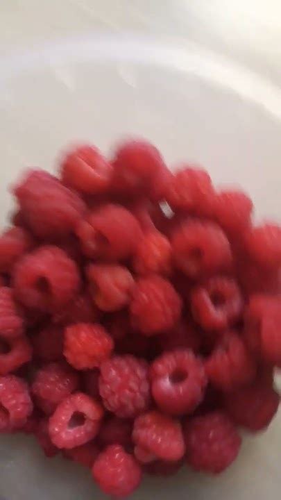 домашняя малина Youtube