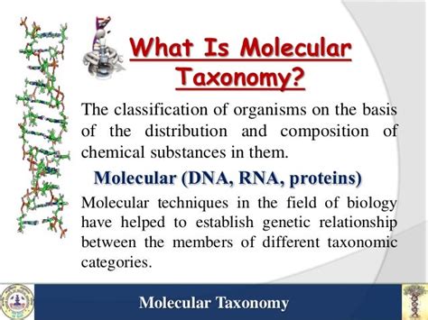 Molecular Taxonomy