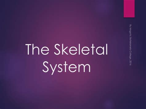 Skeletal System Bone Growth Function And Classification