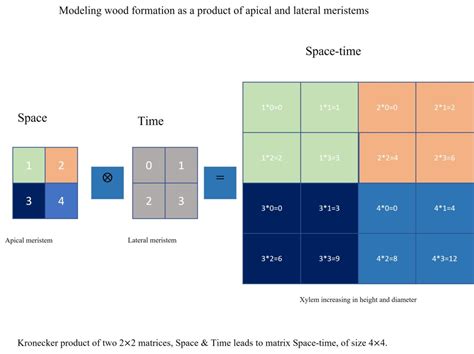 Space Time Analysis Of The Longitudinal Variation In Wood Specific Gravity Of Teak And Its