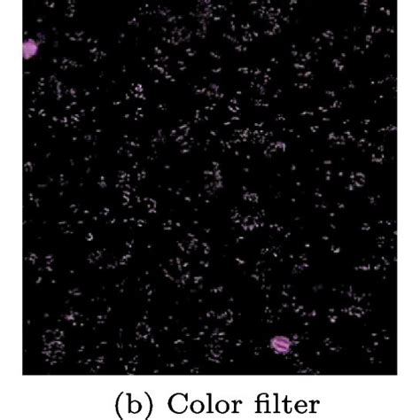 Step By Step Computer Guided Analysis Of Pollen Sample Fragment Image Download Scientific Diagram