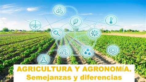 Qual A Diferença Entre Agronomia E Engenharia Agronomica Revoeduca