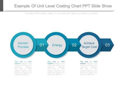 Unit Cost PowerPoint Presentation And Slides PPT Slide SlideTeam