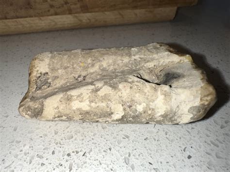 Fossilized Bone Fragments Rfossilid