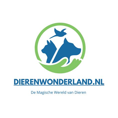 Shar Pei Alles Wat Je Moet Weten