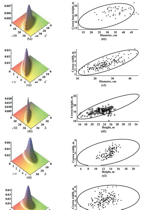 Estimated Marginal Bivariate Density Functions And Their 95 Confidence