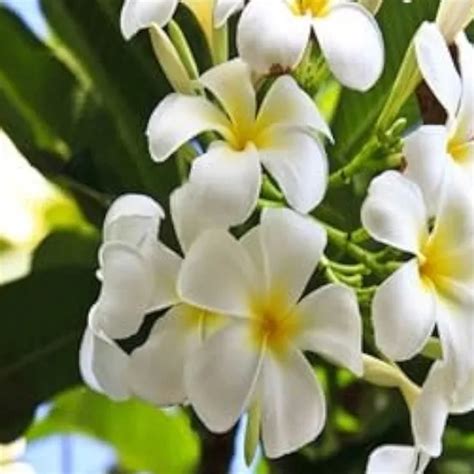 Other Taylor Poshmark