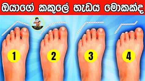 ඔයාගේ කකුලේ හැඩය මේ වගේ නම් ගොඩක් පරිස්සමෙන් ⚠️️⚠️️😱 ️ Foot Shape