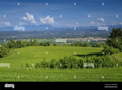 Lluçanès In Spring Seen From Els Tossals Doristà Near Sant Bartomeu