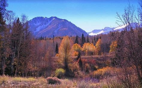 Cascade Springs Road Alpine Loop Utah