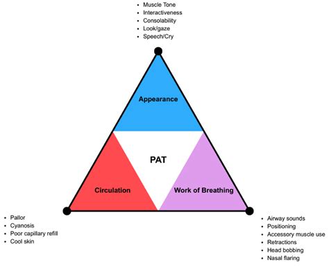 Pals Initial Evaluation And Airway Management Openanesthesia