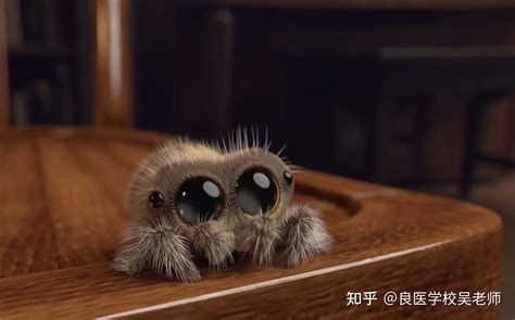 如何保护眼睛 中医9秘方保护眼睛 知乎