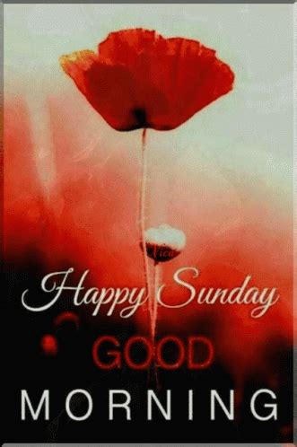 Sunday Blessings S