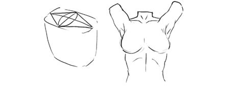 How To Draw The Female Torso An In Depth Guide Gvaats Workshop 2022