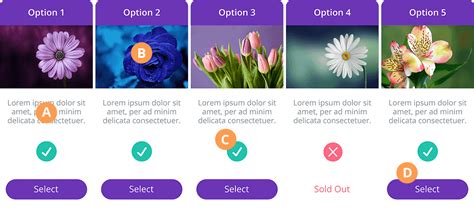 content types module features table maker docs divi modules