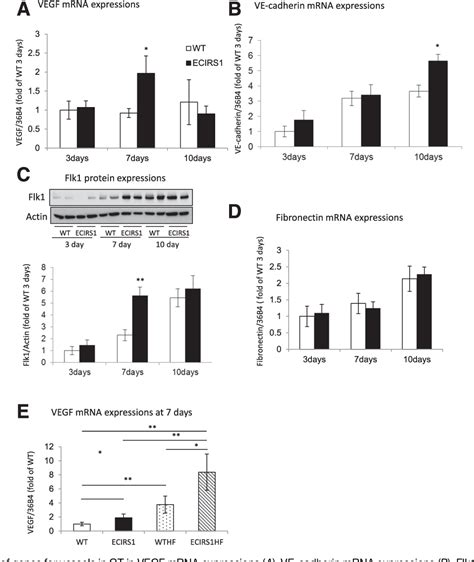 Figure 3 From Overexpressing Irs 1 In Endothelial Cells Enhances Angioblast Differentiation And