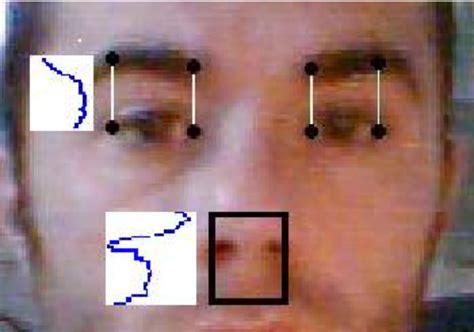 Eyebrow And Nose Detection Search Regions Download Scientific Diagram