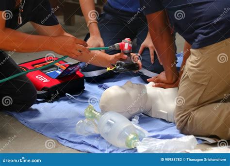 Cpr First Aid Training With Cpr Dummy In The Class Demonstrating Chest