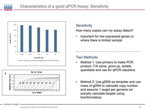 Introduction To Real Time Quantitative Pcr Qpcr Download The Slides