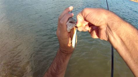 Костури от повърхността на водата Youtube