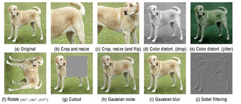 28 Augmentation Texhniques Chen Et Al 2020a Download Scientific Diagram