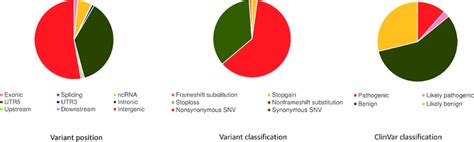 Variant Annotation A Gene Based Annotation Variant Annotation