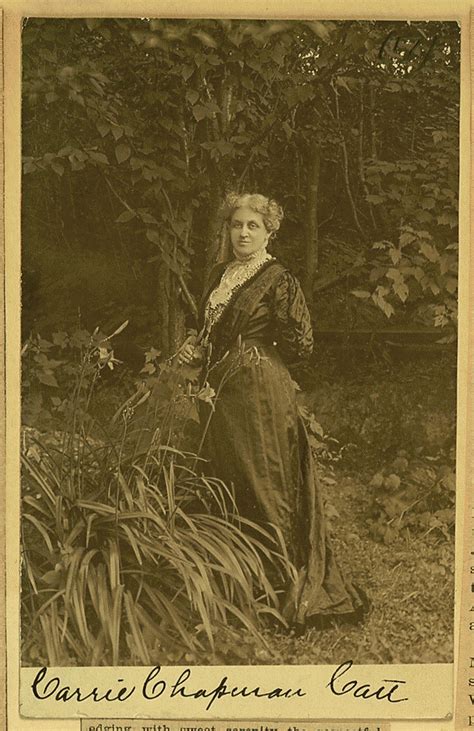 National American Woman Suffrage Association — History Of Us Womans