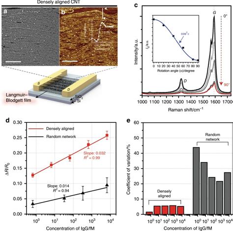 Clinically Accurate Diagnosis Of Alzheimers Disease Via Multiplexed