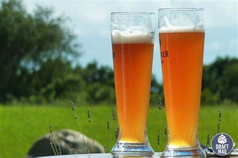 What Is A Hazy Ipa The Best Of These Special Brews On The Market