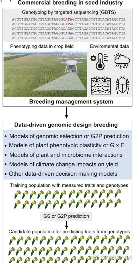 Trends In Plant Science 王向峰老师综述数据驱动的基因组设计育种 知乎
