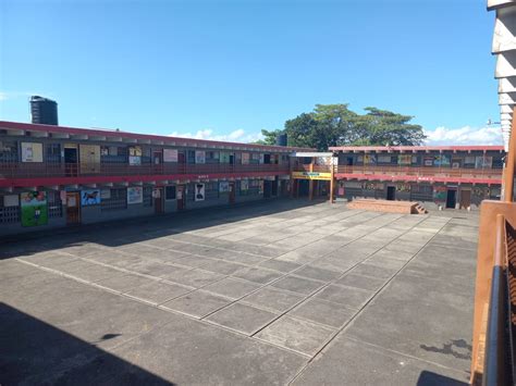 Half Way Tree Primary