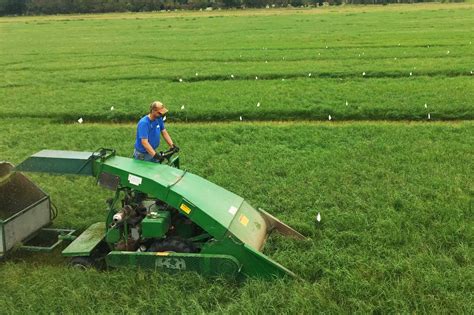 Crop Science Phd Oklahoma State University