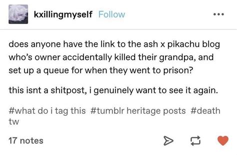 Average Ash X Pikachu Shipper Rtumblr